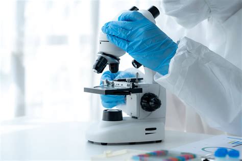 Innere und Allgemeinmedizin Dr Bek Dr Lozo Dr Föhse Kollegen