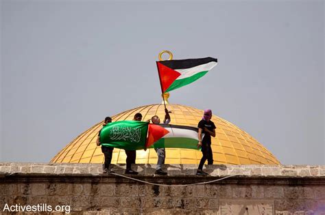 하마스는 가자지구의 저항에서 어떻게 성장했는가 노동자 연대