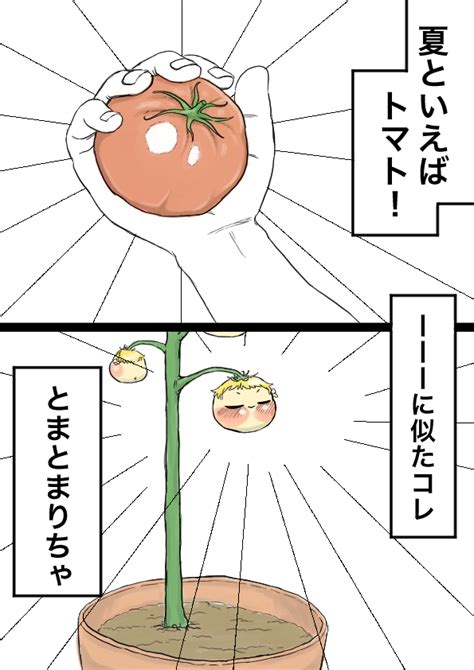 Yukkuri Marisa Touhou Drawn By Asura Table One Yukkuri Place