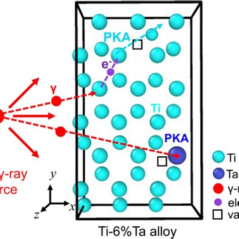 Statistical Results For The Dislocation Loops In The Irradiated Ti6ta