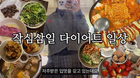 다이어트 먹방 브이로그 적게먹는 일상 식욕조절 식단 역대급 한파 굶주린 일상 1인가구 직장인 집순이 히키코모리 집밥 먹방 Vlog Youtube