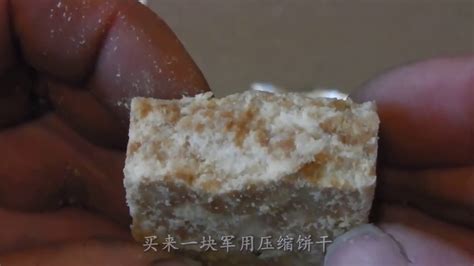 把压缩饼干埋进土里一个月，天天浇水施肥，最后会种出什么呢？ Youtube