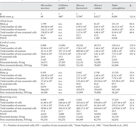 Table 1 From Cellular Scaling Rules For The Brains Of An Extended