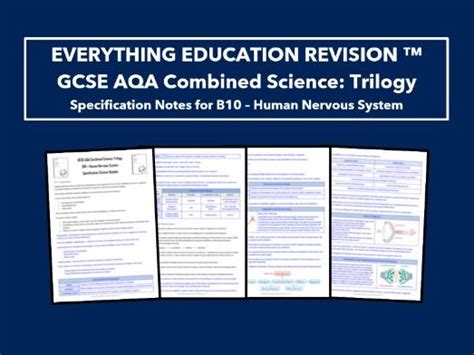 Gcse Aqa Combined Science Trilogy Specification Revision Notes For B10 Human Nervous System