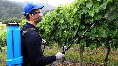 Knapsacks Ba Pumps Sprayers