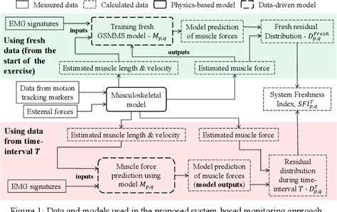 Figure 1 From Model Based Fusion Of Surface Electromyography With Kinematic And Kinetic
