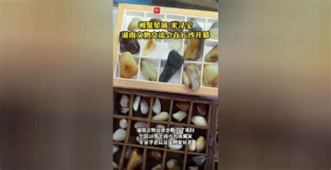 湘聚星城一起寻宝第31届湖南文物交流会长沙开幕 腾讯新闻