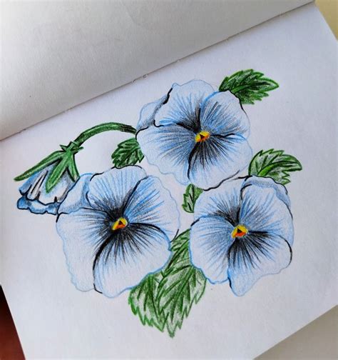 Анютины глазки | Disegni