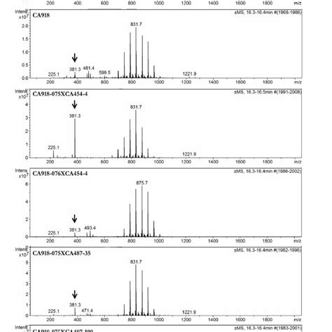 HPLC MS Analysis Showed Molecular Masses M H H 2 O Of 381 3 Da Download Scientific Diagram