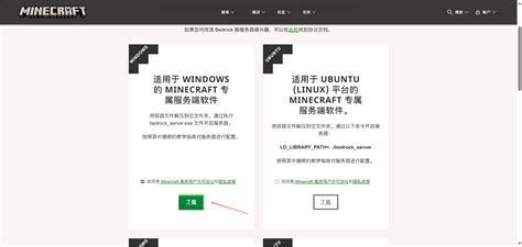 启动一个官方基岩版服务器BDS Minecraft Server Launcher MSL开服器 启动一个官方基岩版服务器BDS Minecraft Server Launcher MSL开服器