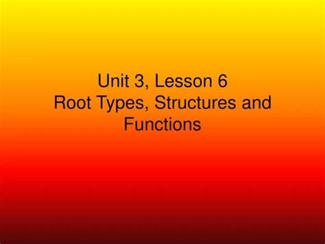 PPT Unit Lesson Root Types Structures And Functions PowerPoint Presentation ID