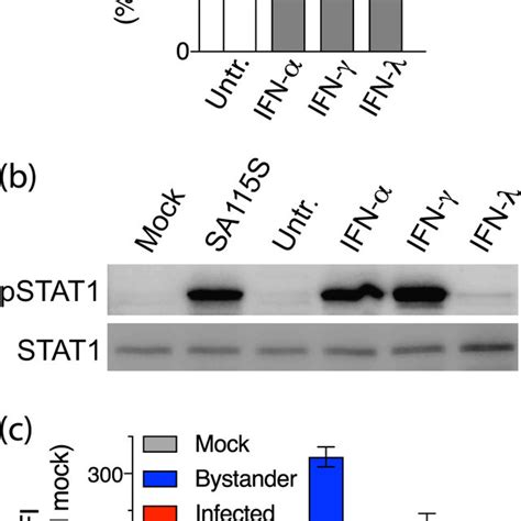 Involvement Of Ifn Receptor Signalling In Modulation Of Mhci Expression