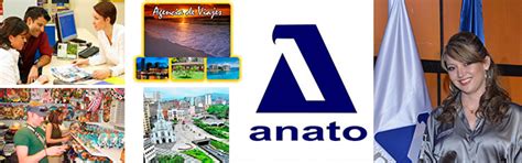Anato “agencias De Viajes Crecen 12 En Ventas De Tiquetes Aéreos