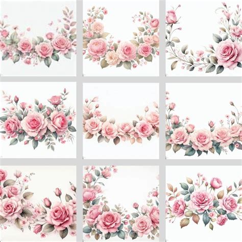 Pink Rose Border Clipart Png Watercolor Pink Rose Border Bundle Of