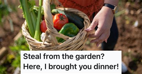 A Woman Caught A Neighbor Stealing From Her Garden So She Decided To