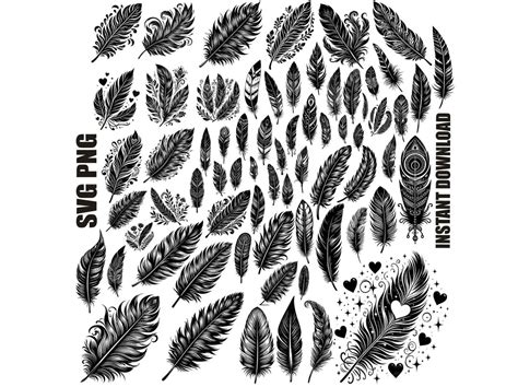 Feather Svg Feathers Svg Bundle Feathers Png Floral Feathers
