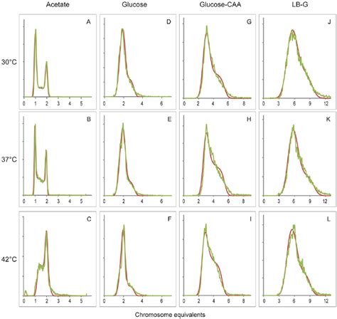 Simulations Of Dna Histograms To Determine Cell Cycle Parameters For