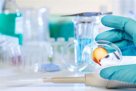 Nano Sensor Instantly Detects Pesticides On Fruit Future Farming