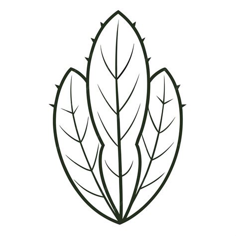 Cactus Leaf Icon Vector Illustration On White Background Premium Ai