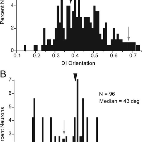Orientation Tuning Of V1 Neurons A Distribution Of Orientation Di