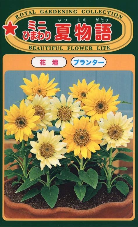 【楽天市場】【種子】ミニひまわり 夏物語 トーホクのタネ：ivy