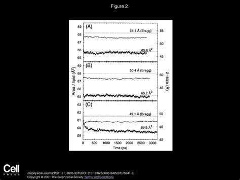 R Jay Mashl H Larry Scott Shankar Subramaniam Eric Jakobsson Ppt