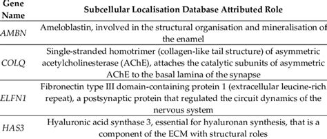 The Biological Roles Of The ECM Related Genes Based On Download Scientific Diagram