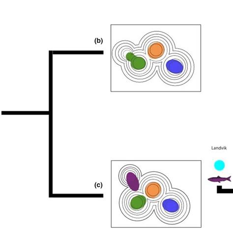 Hypothetical Adaptive Landscapes Showing Mean Population Fitness Color Download Scientific