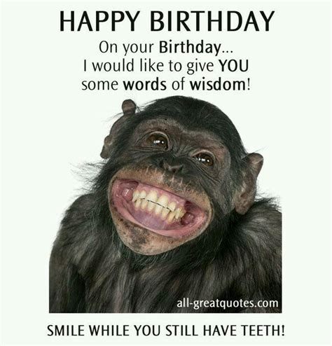 Birthday Wisdom Funny Happy Birthday Images Happy Birthday Funny