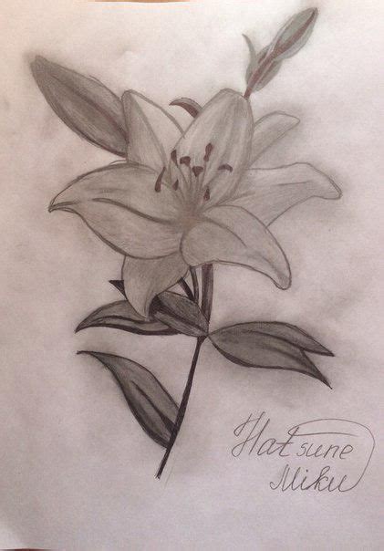 Как нарисовать лилию поэтапно 7 уроков