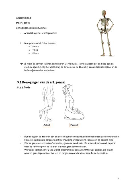 Anatomie Les 5 Genus Bewegingen Van De Art Genus Articulatio Genus