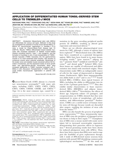Pdf Application Of Differentiated Human Tonsil Derived Stem Cells To Trembler J Mice