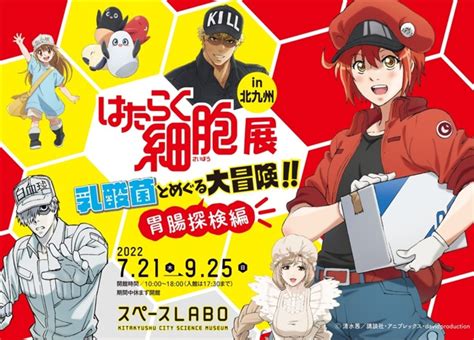 『はたらく細胞展』 人体の仕組み楽しく学ぶ｜【西日本新聞me】