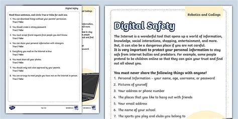 Grade 2 Robotics And Coding Digital Safety Truefalse