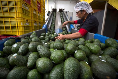 Valor De Las Exportaciones Agroalimentarias De México En El Nivel Más