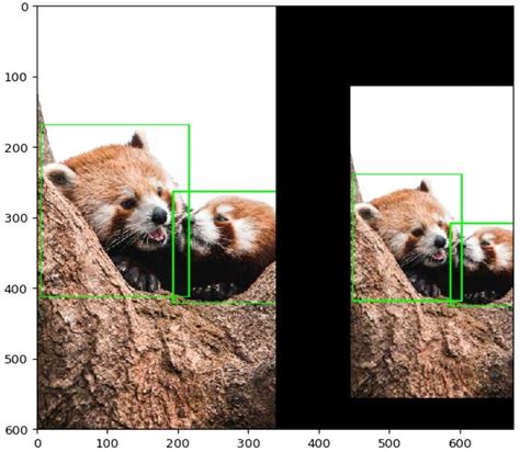 Learn To Augment Images And Multiple Bounding Boxes For Deep Learning In 4 Steps Or Just Run