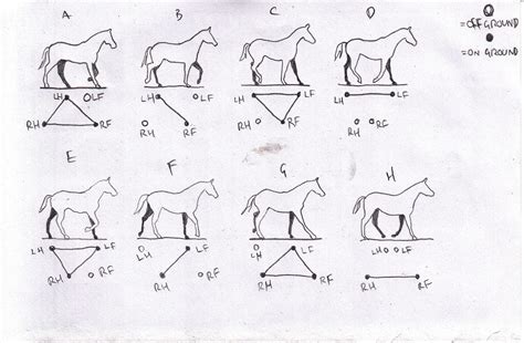 Advanced Animation Skills Workshop Shadeque Abdul Khaleque M00419531