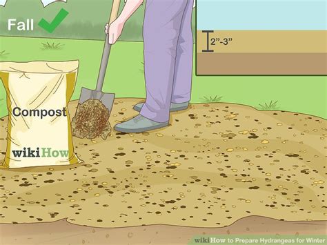 3 Ways To Prepare Hydrangeas For Winter Wikihow