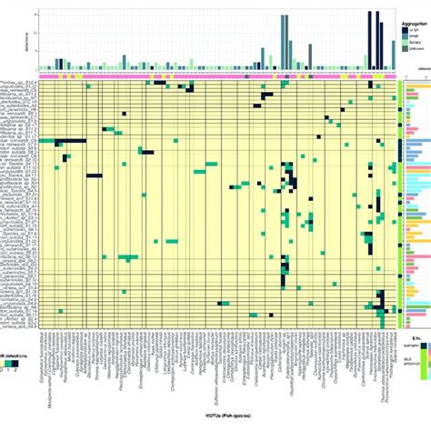 Heatmap Based On Presenceabsence Data The Heatmap Scale Color