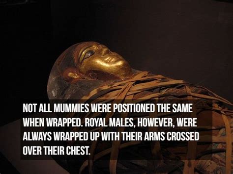 Interesting Facts About Mummies Others