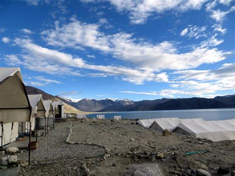 Royal Camp Pangong Leh Ladakh Campground Reviews Photos Rate