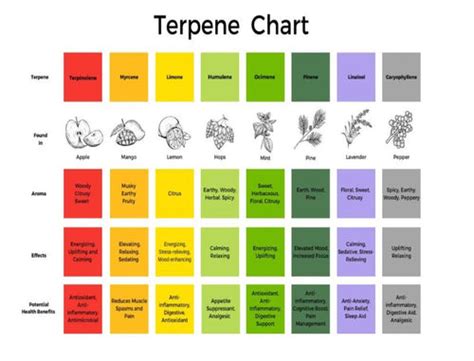 What Is Terpenes Chart Budtank
