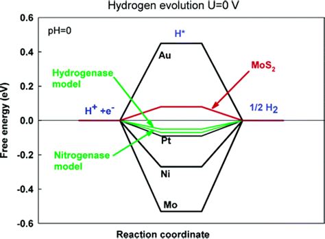 Calculated Free Energy Diagram For Hydrogen Evolution Reaction At