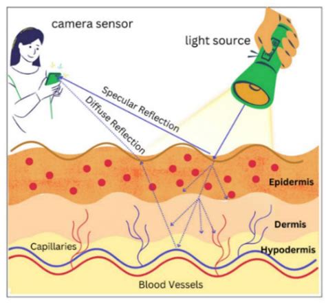 Integrating Remote Photoplethysmography And Machine Learning On