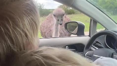 Onlyfans Model Katharina Amalia über Sex Tabus Und Einen Leverkusen Star