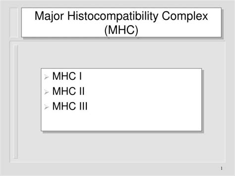 Ppt Major Histocompatibility Complex Mhc Powerpoint Presentation