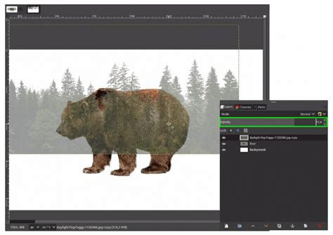 Incredible Double Exposure In GIMP Complete Step By Step Zakey Design