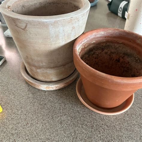 테라코타 화분 토분 일괄 당근 중고거래