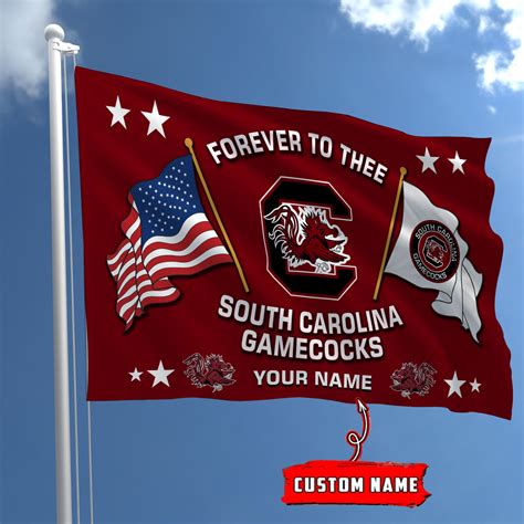 South Carolina Gamecocks Football House Flag Hearthtops Store