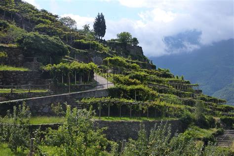 Hiking In Piemonte Part 3 Vineyard Walks Hiking Trails Hiking
